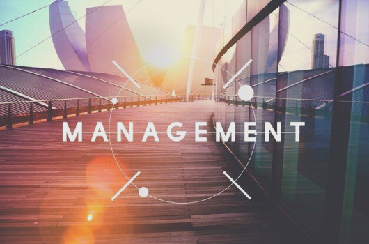 Principles-of-Management | BCA Labs