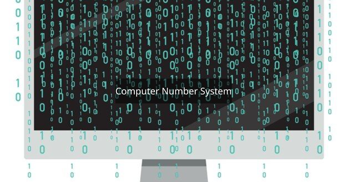 Computer Number System